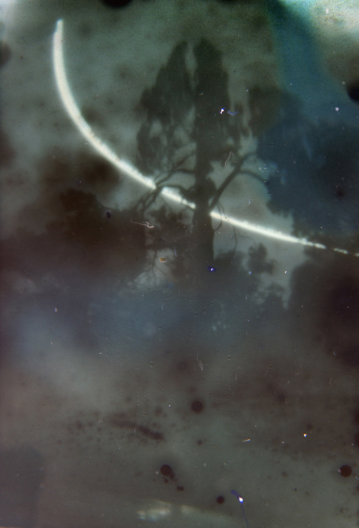 Peter Wiklund: Worlds Through a Pinhole – ~ Talking Pictures
