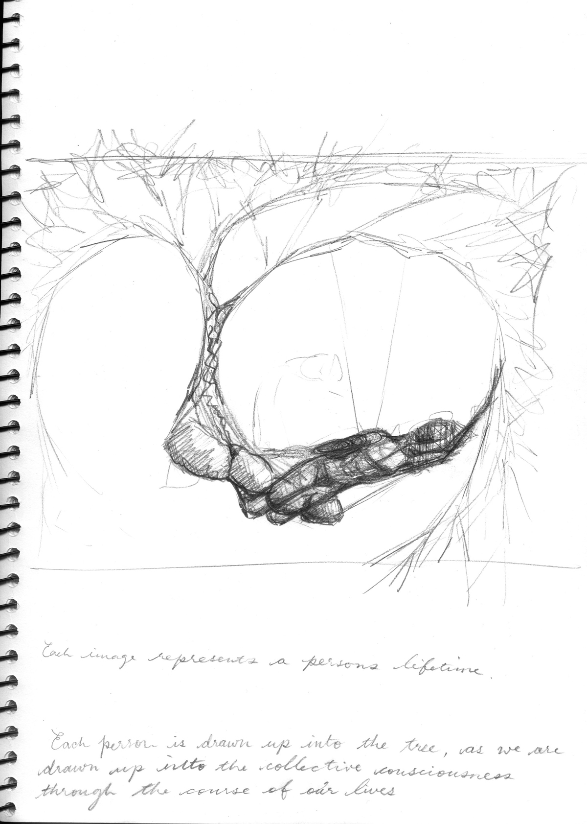 © Garth Knight working sketch for ‘The Enchanted Forest’ – ~ Talking ...