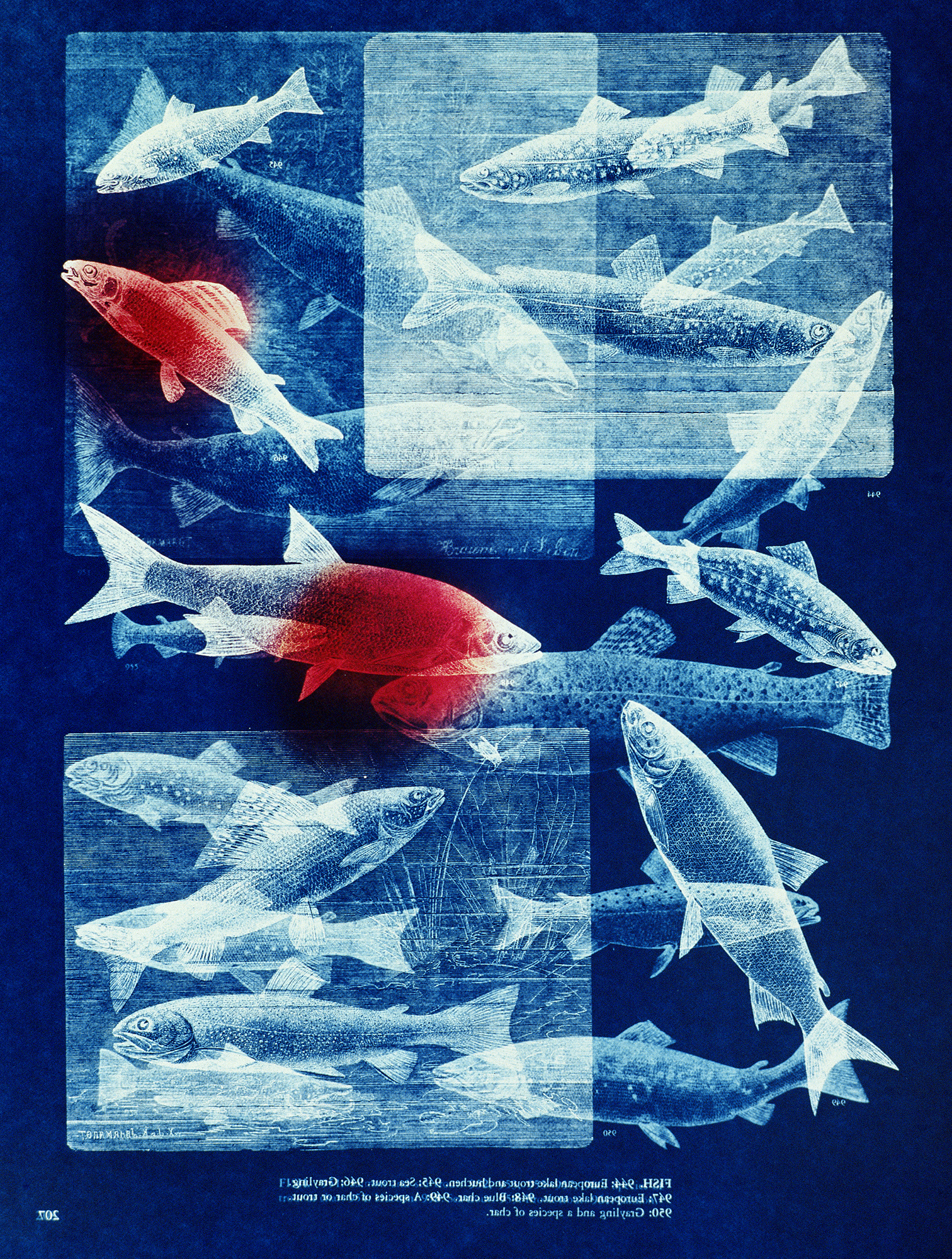 © Bohnchang Koo ‘Goodbye Paradise Blue 06’ 1993 – ~ Talking Pictures