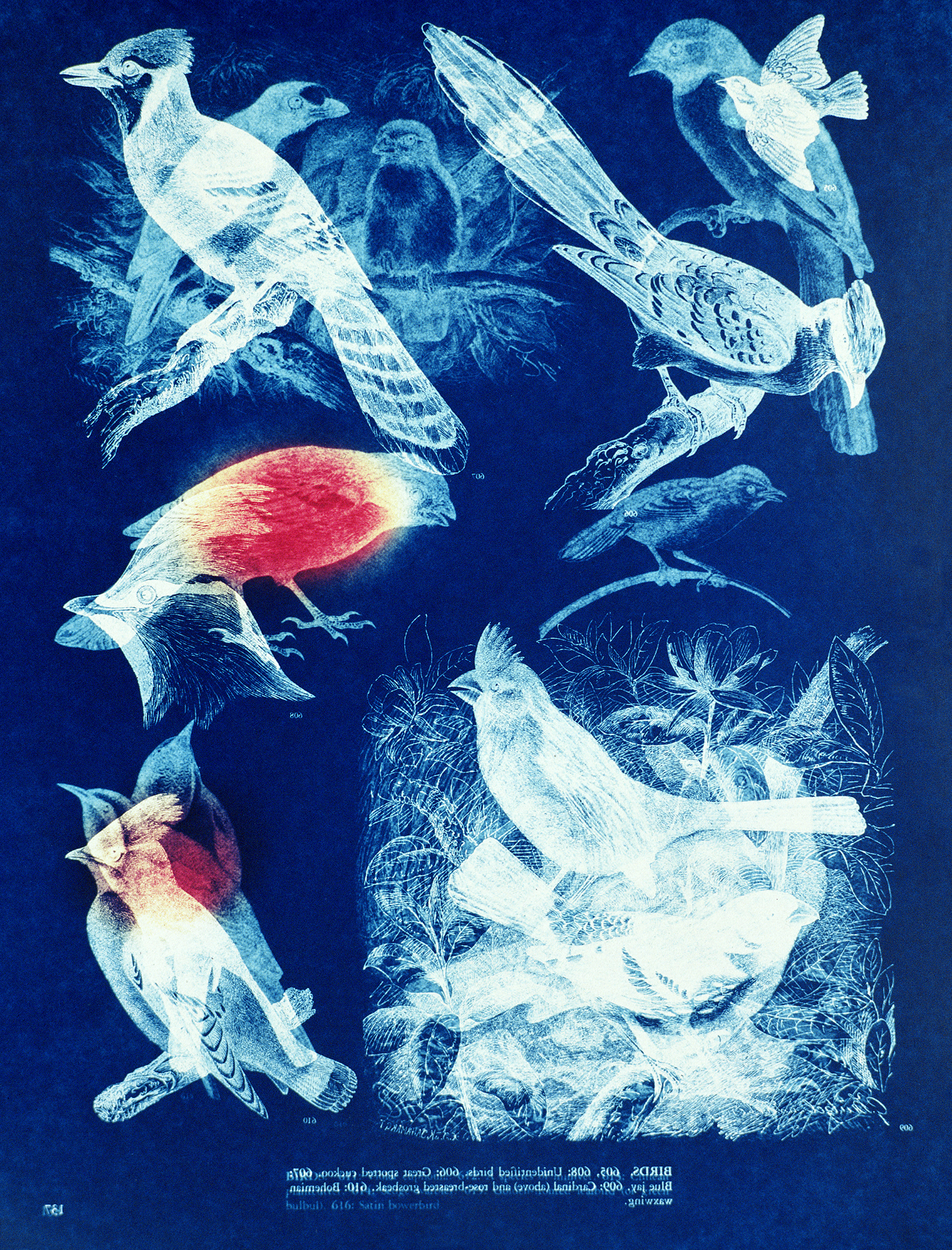 © Bohnchang Koo ‘Goodbye Paradise Blue 08’ 1993 – ~ Talking Pictures